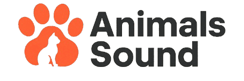 Scariest Extinct Sea Creatures: A Deep Dive into Ancient Ocean Terrors ...